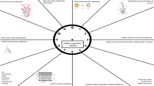 Revision clocks for AQA biology 9 to 1 2018 | Teaching Resources