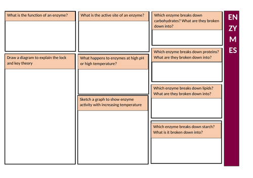 AQA B2 Organisation Summary Question Sheets | Teaching Resources