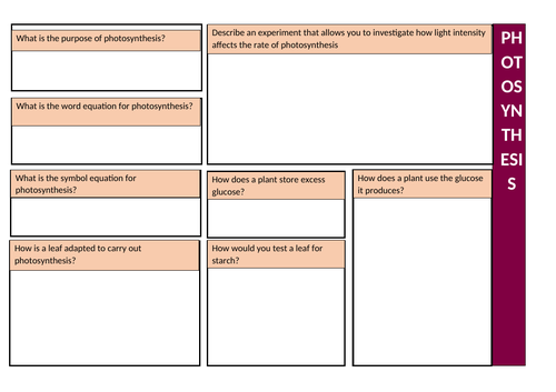 AQA Bioenergetics Summary Question Sheets | Teaching Resources