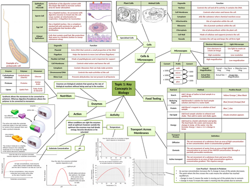 GCSE Biology Revision Topic 1 - Topic to a Page | Teaching Resources