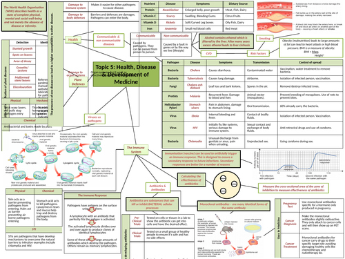 GCSE Biology Revision Topic 5 - Topic to a Page | Teaching Resources