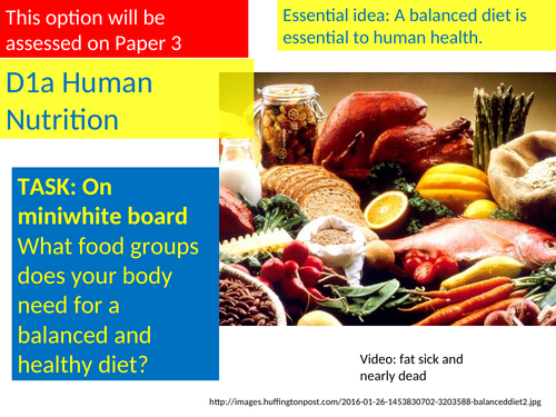 Ib Biology Option D 1 Human Nutrition Teaching Resources