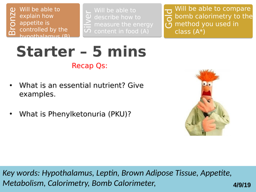 Ib Biology Option D 1 Human Nutrition Teaching Resources