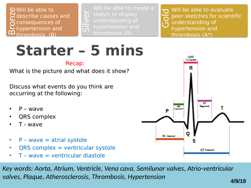 IB Biology OPTION D 4 - The Heart | Teaching Resources