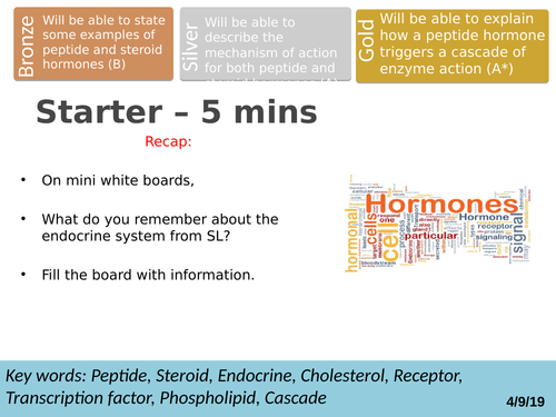 IB Biology OPTION D 5 (HL) - Hormones and metabolism | Teaching Resources