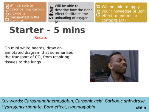 IB Biology OPTION D 6 (HL) - Transport of respiratory gases | Teaching ...