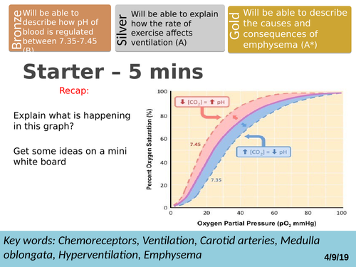 IB Biology OPTION D 6 (HL) - Transport of respiratory gases | Teaching ...