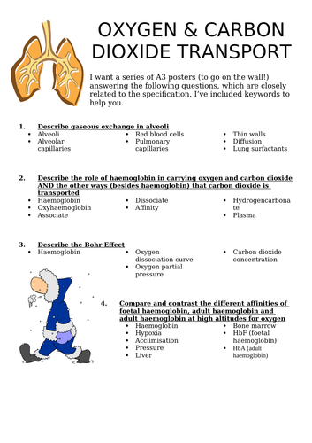 IB Biology OPTION D 6 (HL) - Transport of respiratory gases | Teaching ...