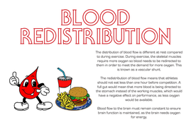 A Level PE Revision Posters - The Cardiovascular System | Teaching ...