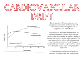 A Level PE Revision Posters - The Cardiovascular System | Teaching ...