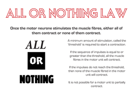 A Level PE Revision - The Neuromuscular System | Teaching Resources