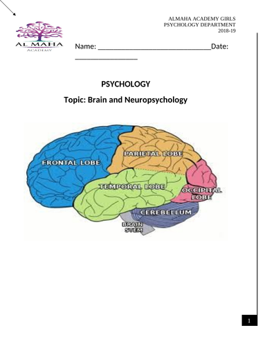 Psychology Edexcel (9-1) revision pack: Brain and Neuropsychology ...