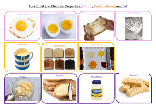Functional and Chemical Properties - protein, carbohydrates and fat ...