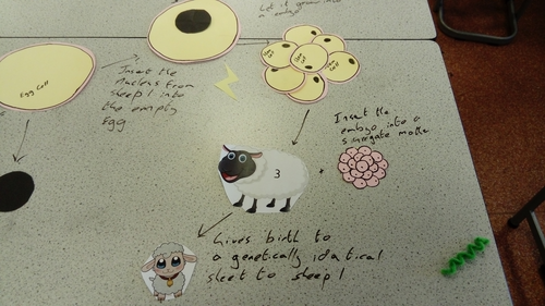 KS4 AQA GCSE Biology (Science) Cloning Lesson & Activities | Teaching ...