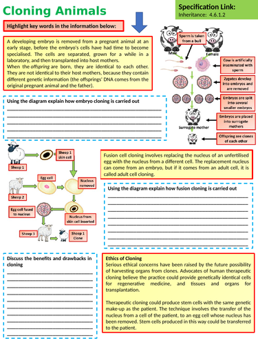KS4 AQA GCSE Biology (Science) Cloning Lesson & Activities | Teaching ... KS4 AQA GCSE Biology (Science) Cloning Lesson & Activities | Teaching ...