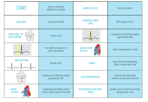 Control of Heartbeat - Loop Game (KS5) | Teaching Resources