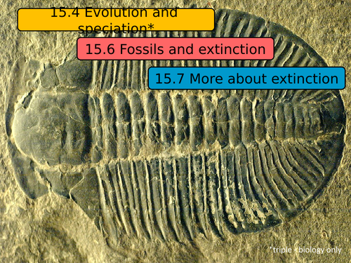 15.4 Evolution & speciation* 15.6 Fossils and extinction 15.7 More ...