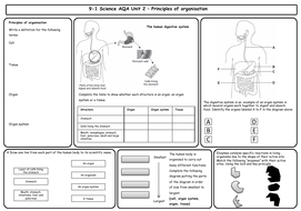AQA Biology revision 12 Mats/Grids - Unit 2 Organisation - tissues ...