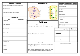 AQA Biology Cells, Cell transport and The Immune System Revision ...