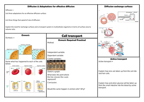 AQA Biology Cells, Cell transport and The Immune System Revision ...