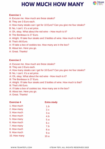 How Much How Many ESL Lesson Plan A1 Beginner | Teaching Resources