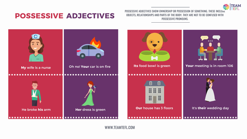 Possessive Adjectives ESL Lesson Plan A1 Beginner | Teaching Resources