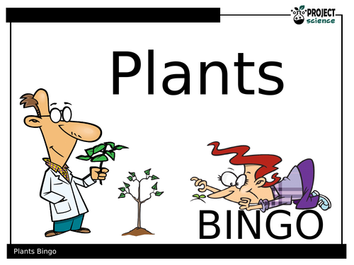 Plants Bingo | Teaching Resources