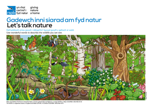 Welsh bilingual Let's Talk Nature with scenes to start conversations ...