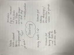 The Lost Words Poetry unit of work | Teaching Resources