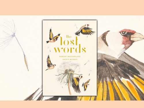 The Lost Words Poetry unit of work | Teaching Resources