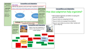 Competition and Adaptation Activate B2.3.1 | Teaching Resources
