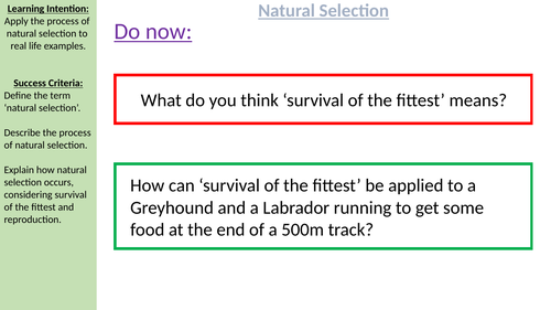 Natural Selection Activate B 2.3.6 | Teaching Resources