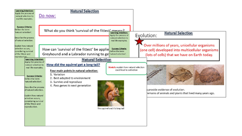 Activate 2 Adaptation and Inheritance Topic | Teaching Resources