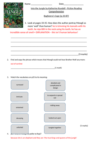 Into the Jungle by Katherine Rundell Reading Comprehension Ch 1 & 2 ...