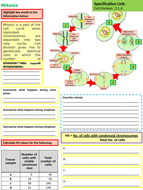 A Level Biology: Mitosis Lesson & Activities | Teaching Resources