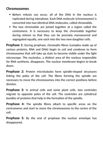 A Level Biology: Mitosis Lesson & Activities | Teaching Resources