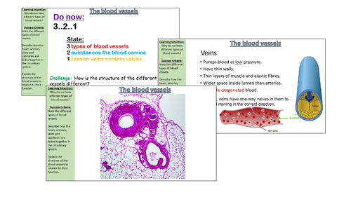 The blood vessels AQA B4.2 | Teaching Resources