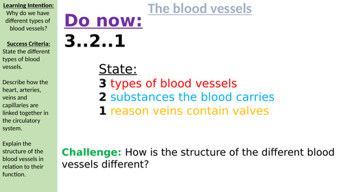 The blood vessels AQA B4.2 | Teaching Resources