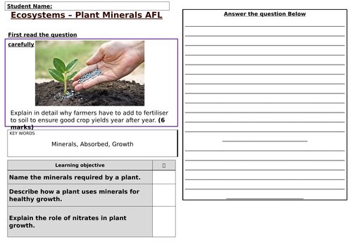 KS3 Ecosystem 6 mark question | Teaching Resources