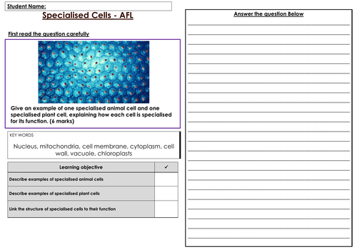 KS3 Specialised Cells 6 mark Question | Teaching Resources