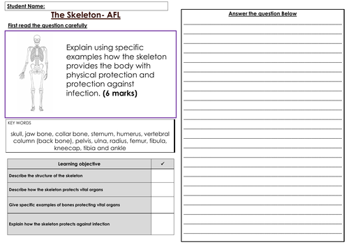 KS3 The Skeleton six mark exam Question | Teaching Resources