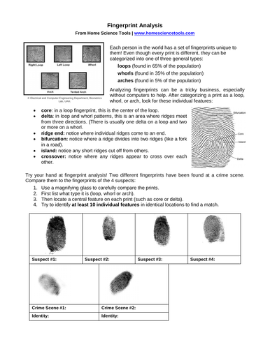 KS3 Forensics Project Learning Scheme with Lessons and Resources ...