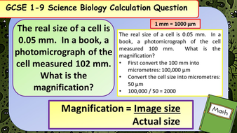 £1 ONLY: 100 GCSE Biology (Science) Magnification Calculation Revision ...