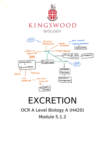 OCR H420 A Level Biology Excretion Workbook | Teaching Resources