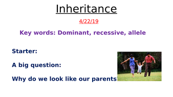 Inheritance- GCSE Foundation | Teaching Resources