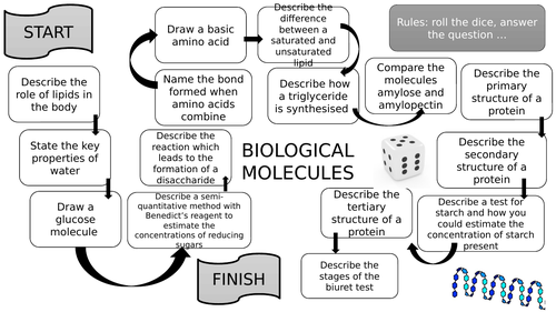 A LEVEL BIOLOGICAL MOLECULES BOARDGAME | Teaching Resources