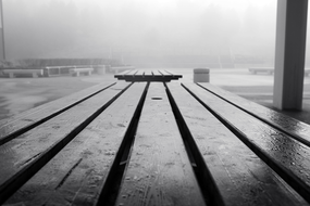 Formal Elements Photography Project | Teaching Resources