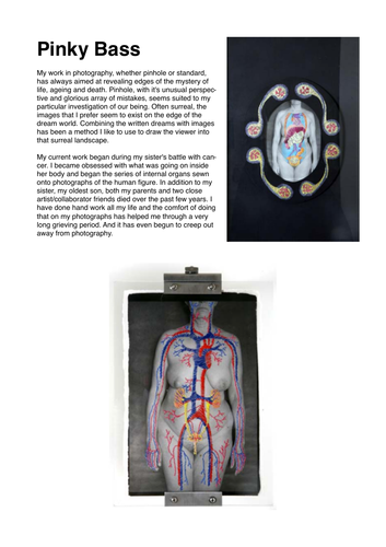 Conceptual Artist Factsheets - Art & Design - Research | Teaching Resources