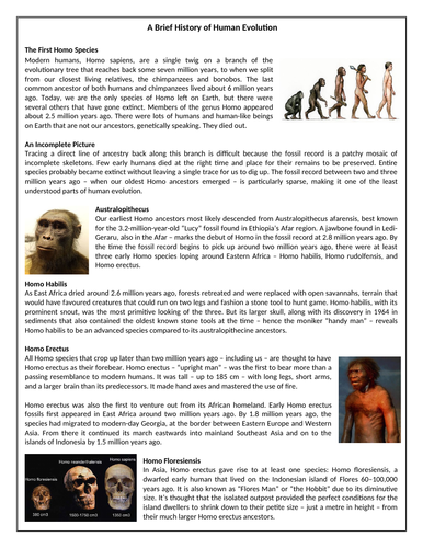 A Brief History of Human Evolution - Reading Comprehension Text ...