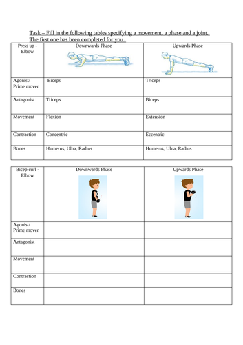 Movement analysis worksheet. Antagonist pairs, movement type ...